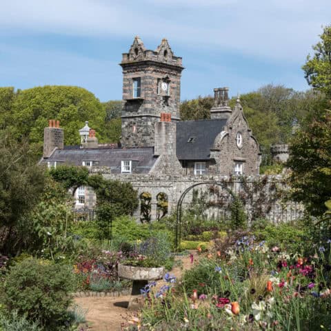 Sark Weekend 2025 - Undervalued Shares